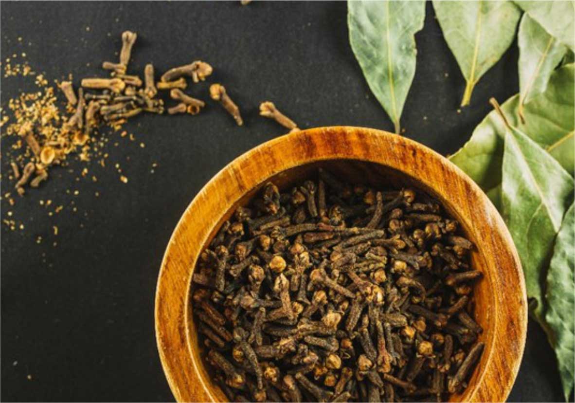 Alphaherbs Agri – Alphaherbs Corp